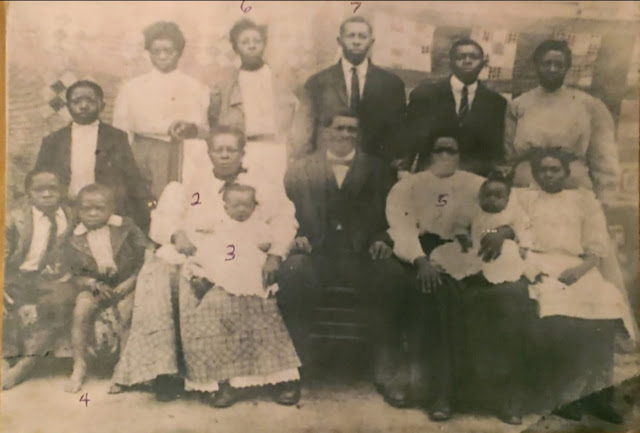 Davis Family Tree: 1,000 Leaves And Growing… – Kenny's Camera, Cooking ...