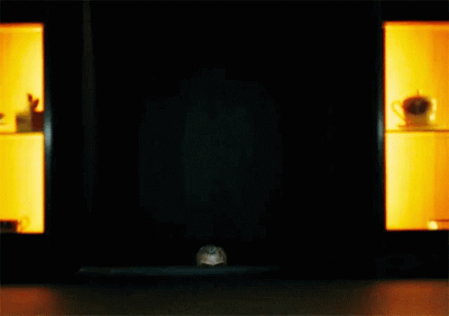 Movie Commentary: Parasite (Warning – Spoilers) – Kenny's Camera ...